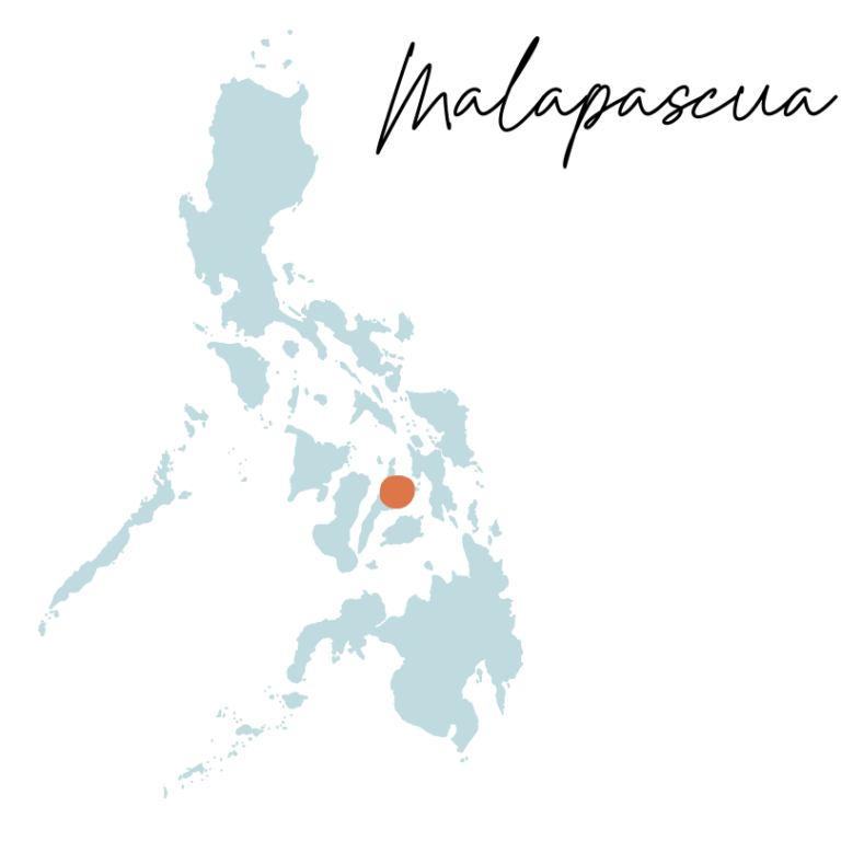 Malapascua Filipinas, Guía Completa [2023]| Justwotravel